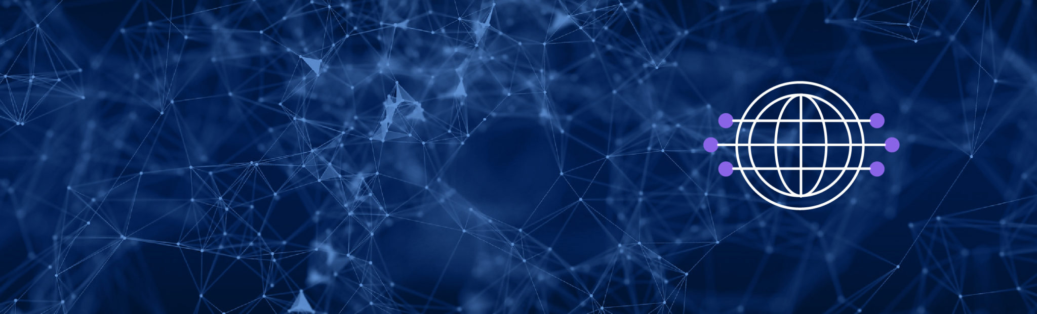 Network Services - Proconsul Group