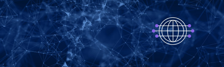 Network Services - Proconsul Group